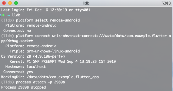 Flutter Engine C++ 源码调试初探 | 区长