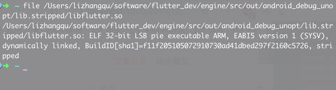 Flutter Engine C++ 源码调试初探 | 区长