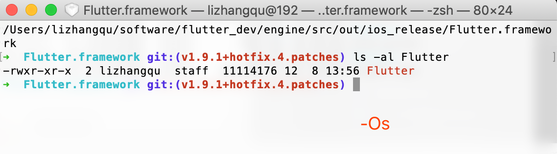 Flutter iOS 编译参数 -Oz 是负优化吗 | 区长